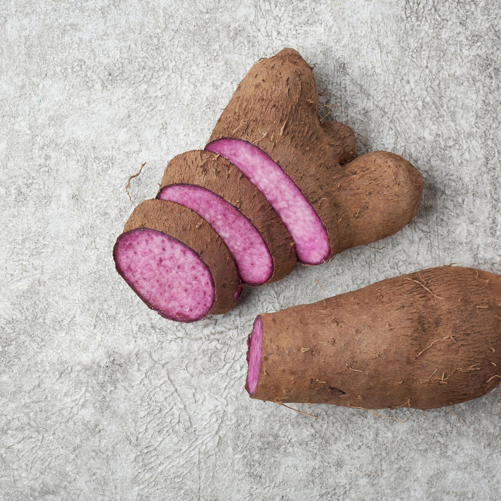 Ube Purple Yam Plant and Tubers -Dioscorea Alata, Winged Yam ...